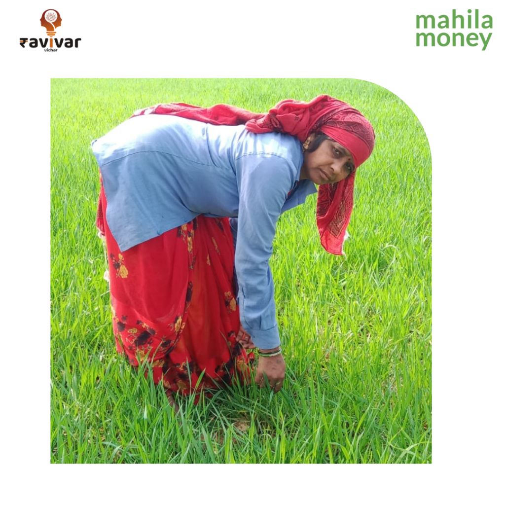 How Homemaker Turned Organic Farmer Meera Tikeshwar Changed Her Destiny to Become A Successful ...